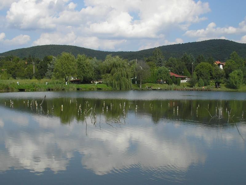 Dédai-tó - tó , horgásztó , horgászvíz részletes adatai