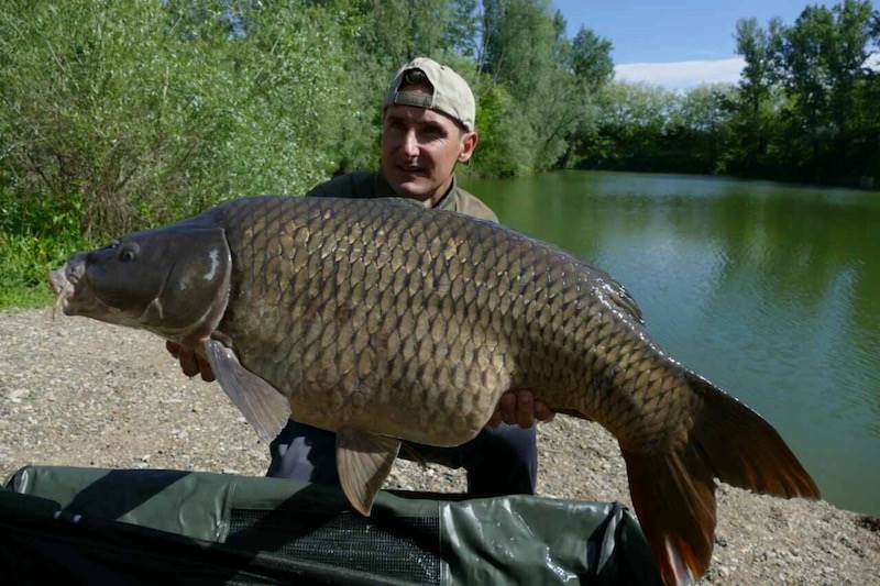 Carp Lake Zabar - tó , horgásztó , horgászvíz részletes adatai