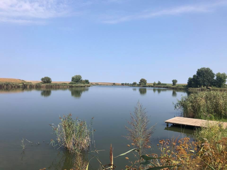 Ferma de Crap Diosig - tó , horgásztó , horgászvíz részletes adatai