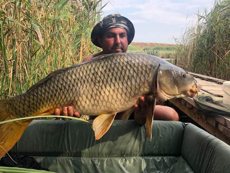 Ferma de Crap Diosig - tó , horgásztó , horgászvíz részletes adatai