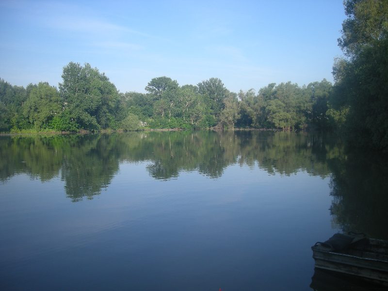 Bodrog tó - tó , horgásztó , horgászvíz részletes adatai