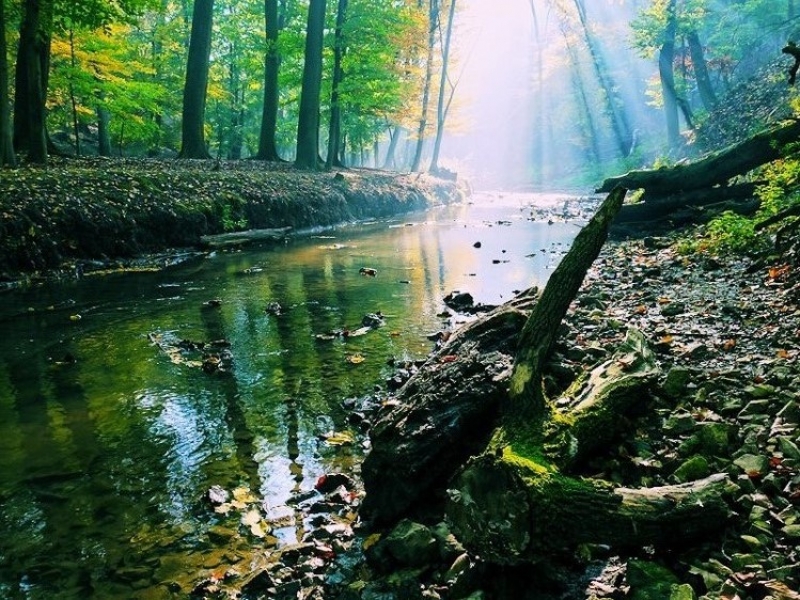 Gaja-patak - tó , horgásztó , horgászvíz részletes adatai