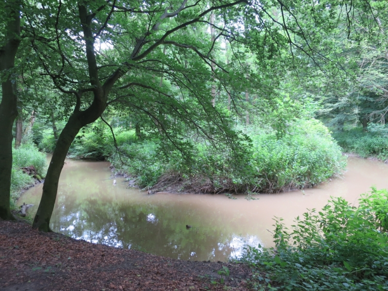 Gaja-patak - tó , horgásztó , horgászvíz részletes adatai