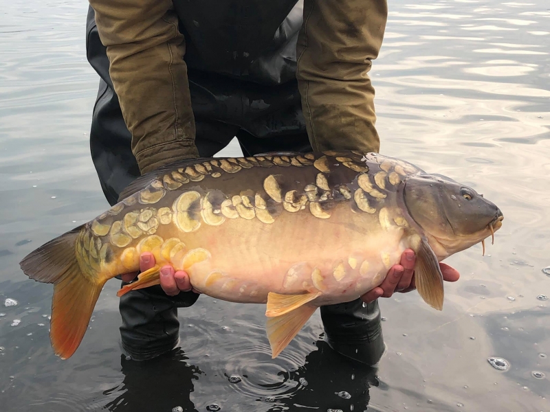 Lupa Fishing - tó , horgásztó , horgászvíz részletes adatai